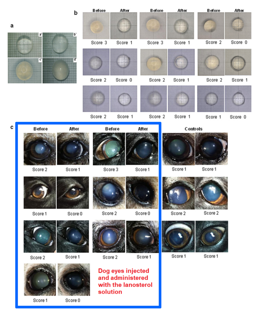 Lanomax - Youth Reversion™