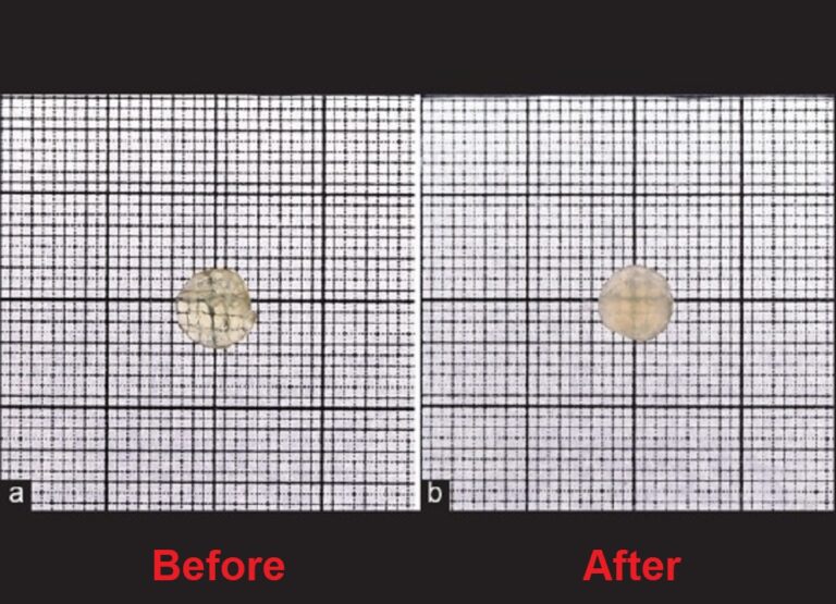 Lanomax - Youth Reversion™